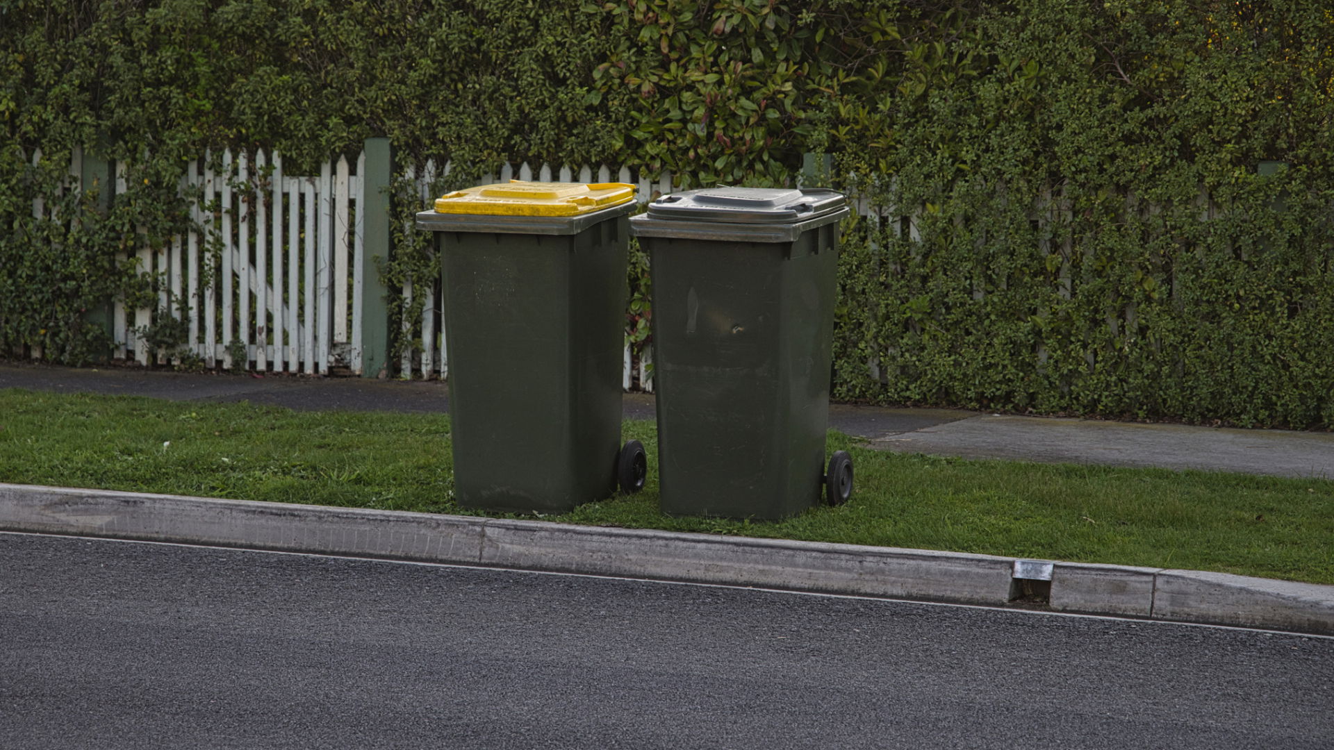 A Simple Guide to Rubbish Collection in Devonport - Travel Guide ...